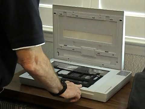 Slide Scans with an Epson Perfection V100 Photo Scanner