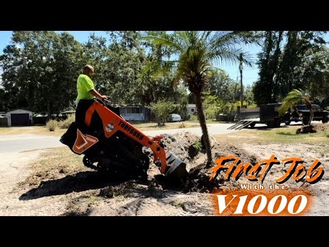 Skid Steer Power: Ripping Out Palm Trees with the V1000! (Perkins403J-11)