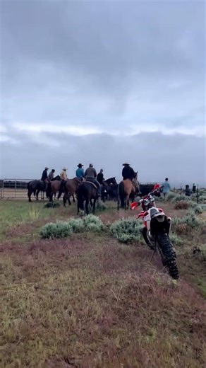 Creating Good Times moving the cattle in good time. cartercountrymeats.com