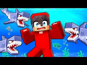 Cash Is In DANGER And Needs HELP!