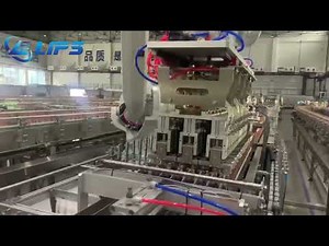 Robotic case packing machine for wine glass bottle in commissioning