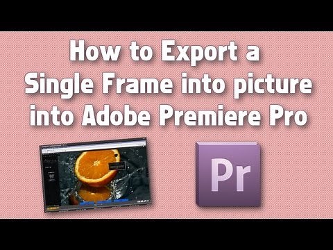 How to Export a Single Frame into a Picture in Adobe Premiere Pro