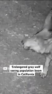 8.7K views · 111 reactions | New numbers show the largest annual...