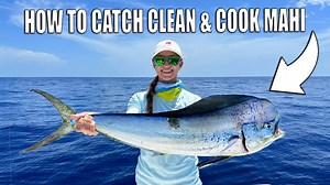 4.8K views · 482 reactions | How to Catch Clean Cook Mahi Tacos‼️...