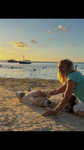 Today we celebrate Linda — founder of Bruiser & Co, unstoppable force, and true heart of rescue in Mauritius 🤍🐾 Never leaving any animal behind. Always fighting for the voiceless. Linda has been part of every rescue, every sterilisation, every adoption. She doesn’t step back — she steps in. Bruiser is her soul dog — the beginning of it all — and her beach pack, Bruiser’s pack, are her shadow. They wait for her, walk with her, and belong to her heart as much as she belongs to theirs. Her shelte