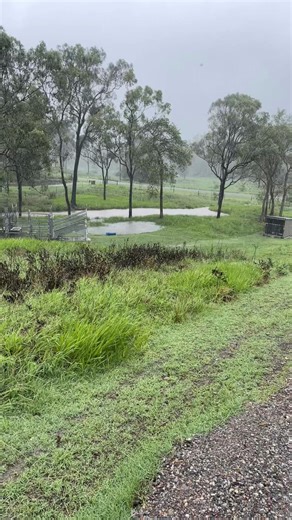 Catergry 2 Cyclone Koji 2026 Oakenden QLD 4740