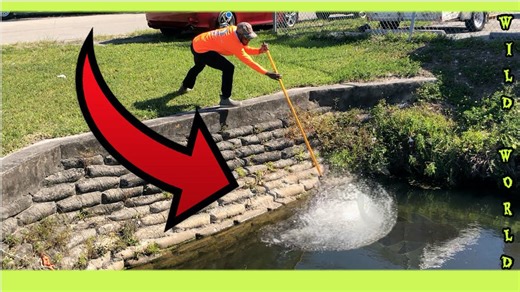 Prehistoric Fish Caught by Hand – Net Fishing Adventure