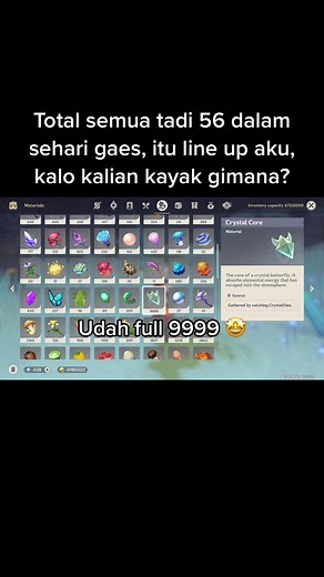 Panduan Lengkap Lokasi Crystal Core di Genshin Impact