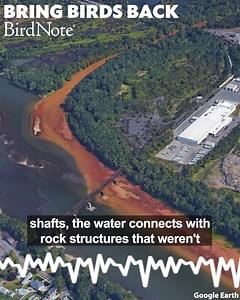 11 reactions | In the second episode of this special season of Bring...