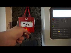 Apollo/Hochiki ESP Addressable Fire Alarm System (weekly test 04/06/22)