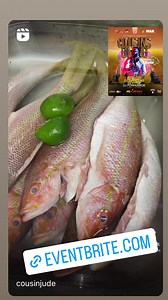 ️Cousins Giving️ By Chef Cousin Jude ️This Sat Nov 19 Noon – 8 PM YAS Chicken 128 Brighton Ave Boston  Tunes: DJ BULLET , SUPER DUKE , VYPER, POWASERGE ️ https://www.eventbrite.com/e/462562084647 | DJ Super Duke | Facebook