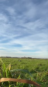 32K views · 557 reactions | These ones wanted in! | Stackhouse Guide Service | Facebook