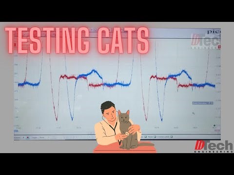 How to Test For Clogged Catalytic Converters