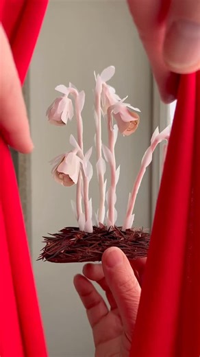 Ann Wood @Woodlucker/paper art on Instagram: "Been exploring new things in paper, all handmade…. all starting with one sheet of paper. This one features tracing paper to get that milky texture. #imadethis #handmade #paperartist #paperflowers #mushrooms"