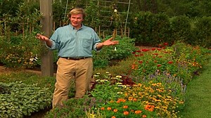 I am a hopeless collector of perennials. I can always find a spot in the garden for new additions. While I love trying new plants I have a few mainstays that I rely on for gorgeous flowers and foliage year after year. To see more CLICK HERE: https://youtu.be/nBrGBO3y_VI | P. Allen Smith