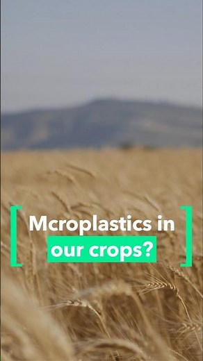How microplastics change the way plants eat