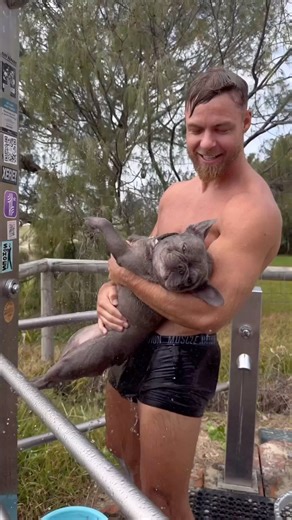 108K views · 99 reactions | 3 things that have helped with sustain my training and nutrition. | Evidence Based Training | Facebook