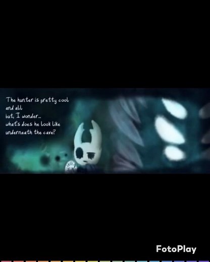 Hunter's Real Look | Hollow Knight short comic