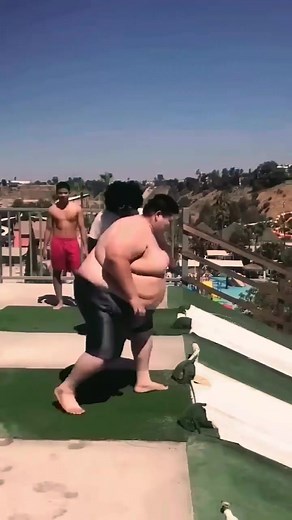 🤣🤣🤣🤣🤣🤣🤣🤣 #NatureArt #LeafArt #CreativeNature #ArtInspiration #EcoArt #LeafPainting #NatureLovers #BotanicalArt #HandmadeArt #ArtisticLeaves #NaturalBeauty #EcoFriendlyArt #GreenArt #NatureInspired #SustainableArt #birds #bird #nature #birdsofinstagram #wildlife #birdphotography #naturephotography #wildlifephotography #photography #birdwatching #birdlovers #animals #best #birding #of #ig #captures #naturelovers #perfection #love #canon #birdstagram #photooftheday #aves #parrots #nikon #ar