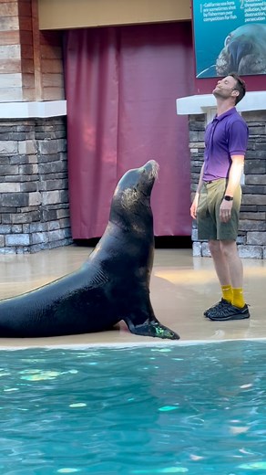 Clyde is not in the mood to find the plan! #hahaha #funny #nottoday #socute | Travisandcousins