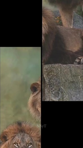 VAZ_06* (@g.nol06.8)’s videos with original sound - VAZ_06*