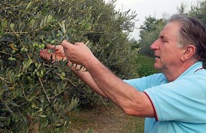 Δωρεάν Συμβουλές για τις δράσεις eco-schemes με τροποποιητική απόφαση