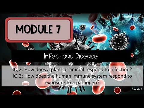 Module 7 Episode 5 - Innate and Adaptive Immune Response