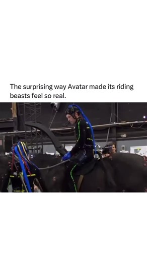Answer All Questions on Instagram: "Like this content? Follow us @answerallquestions for more ❤️ In Avatar, the Na’vi’s riding creatures weren’t just imagined—they were grounded in reality. James Cameron’s team used performance-capture technology to record real horses in motion, tracking every muscle shift, leg timing, weight transfer, and riding dynamic. This allowed them to capture the natural physics of a horse in exquisite detail. That motion data was then applied to Avatar’s fantastical mou
