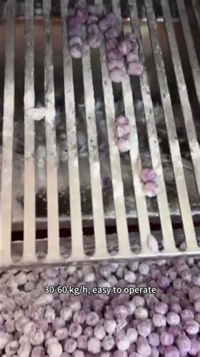 Automatic Boba Ball Maker | Tapioca Pearls Making Machine