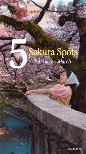 🌸 Kawazuzakura is blooming soon! 🌸 Kawazuzakura is an early-blooming cherry blossom variety known for its deep pink petals and long flowering period. It usually blooms from mid-February to early March, making it one of the very first signs of spring in Japan. 📍 Myorinji Temple, Okayama (2024.3.11) 📍 Sakura Jingu, Tokyo (2025.3.2) 📍 Urusumi Canola Fields, Ehime (2025.2.24) 📍 Takesan Noen Farm, Kagawa (2023.3.13) 📍 Nishihirabatake Park, Kanagawa (2025.3.2) 🌸 Looking for sakura beyond the G