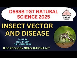 Insect Vector and Disease for DSSSB TGT NATURAL SCIENCE 2025 #dsssbtgtnaturalscience #insects