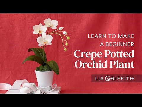 How to Make a Beginner Crepe Paper Orchid!