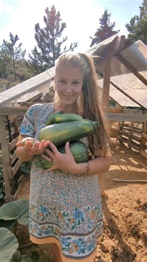 #smallgarden #harvest #homesteading #homestead #simplelife #peaceful | Mountain Spring Homestead