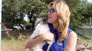 In episode 2 of "A Dog's Journey Home" the TracysDogs team takes us behind the scenes to shows us their intake process. Watch as the team saves yet another group of dogs from a shelter in San Antonio and prepares them to meet their new fur-ever families in Buffalo, NY. 🐶 For more inspiring and feel-good content visit: http://bit.ly/DJH2yt | Only Good TV - Hooplaha