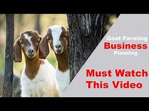 Goat Farm Setup Step-by-Step | Best Place for Goat Farming How to Start Goat Farming with Low Budge