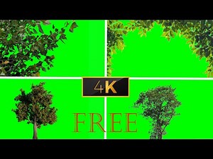 Tree green screen video / tree growing Animation Free 4k No Copyright |