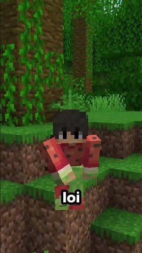 Why is everyone settling in the Amazon on this Minecraft server?