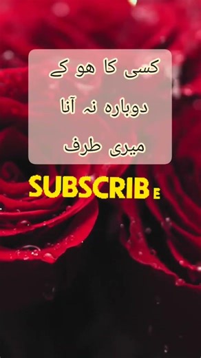 ‎#shorts#foryou#sad#shayari #subscribe#minokidilkialfazz #motivationl#videos#quotes#rajabfamily ‎