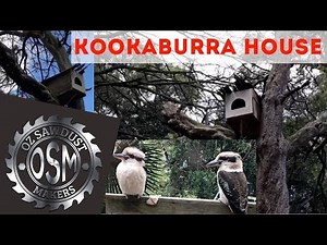 DIY Kookaburra Nesting Box - FREE PLANS