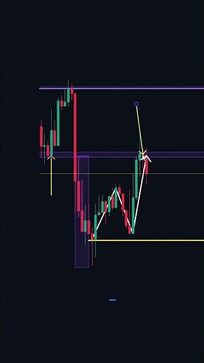 The Best Forex Trading Tips for Beginners