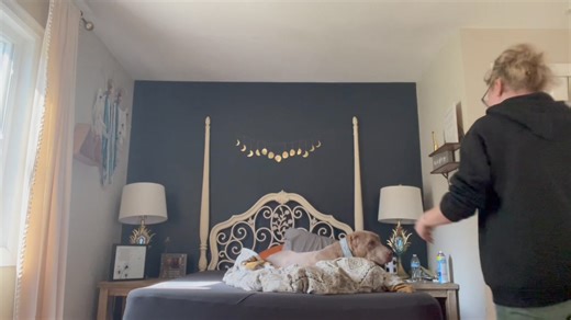 60K views · 285 reactions | This is Laredo one week after his Librela...