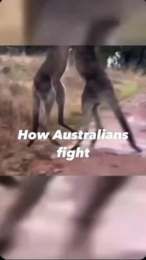 Monty Franklin on TikTok