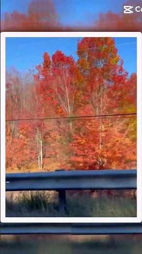 My winter vacation #travel #vacation #beautiful