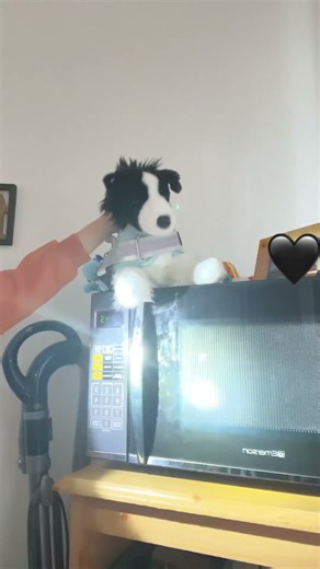 My microwave is gonna explode.. #funny #comedy #jokes #memes