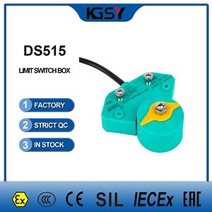 [Hot Item] Ds515 ALS200d Interruptor de proximidad en forma de U utilizado en actuador neumático caja de interruptores de límite magnético S & D