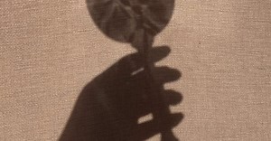 Video by Mariam Antadze on Pexels