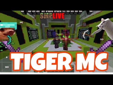 Minecraft TIGER MC