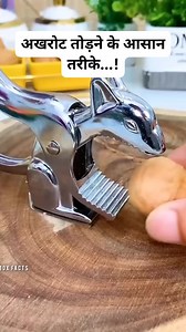 2.8M views · 15K reactions | अखरोट तोड़ने के आसान तरीके...! Easy Tricks To Crack Walnuts. #10xFacts #explorepage #fruits #todaypost #reels #most #shorts #viral #trend #reelsfypシ #fyp #fun #reelsfb #trending #viralfacts #knowledge #viralvideo #AmaZing #hindireels #amazingfacts #gadgets #wildlifefacts | 10X FACTS | Facebook