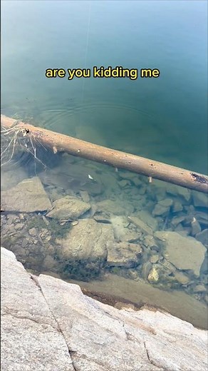 Pike on the fly rod 🪝🦈 #pikefishing