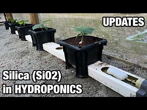 Using Silica (SiO2) in Hydroponics + Updates